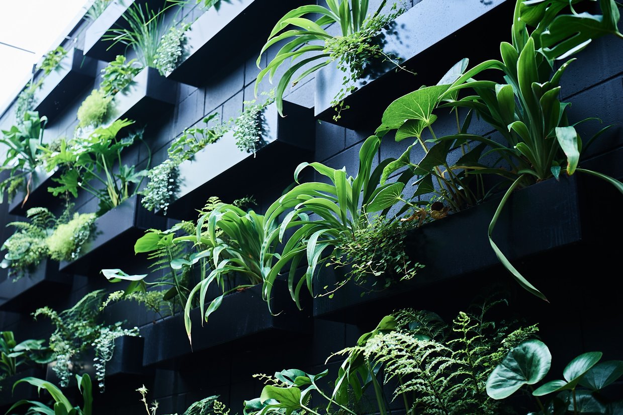 The Greenwall Reinvented