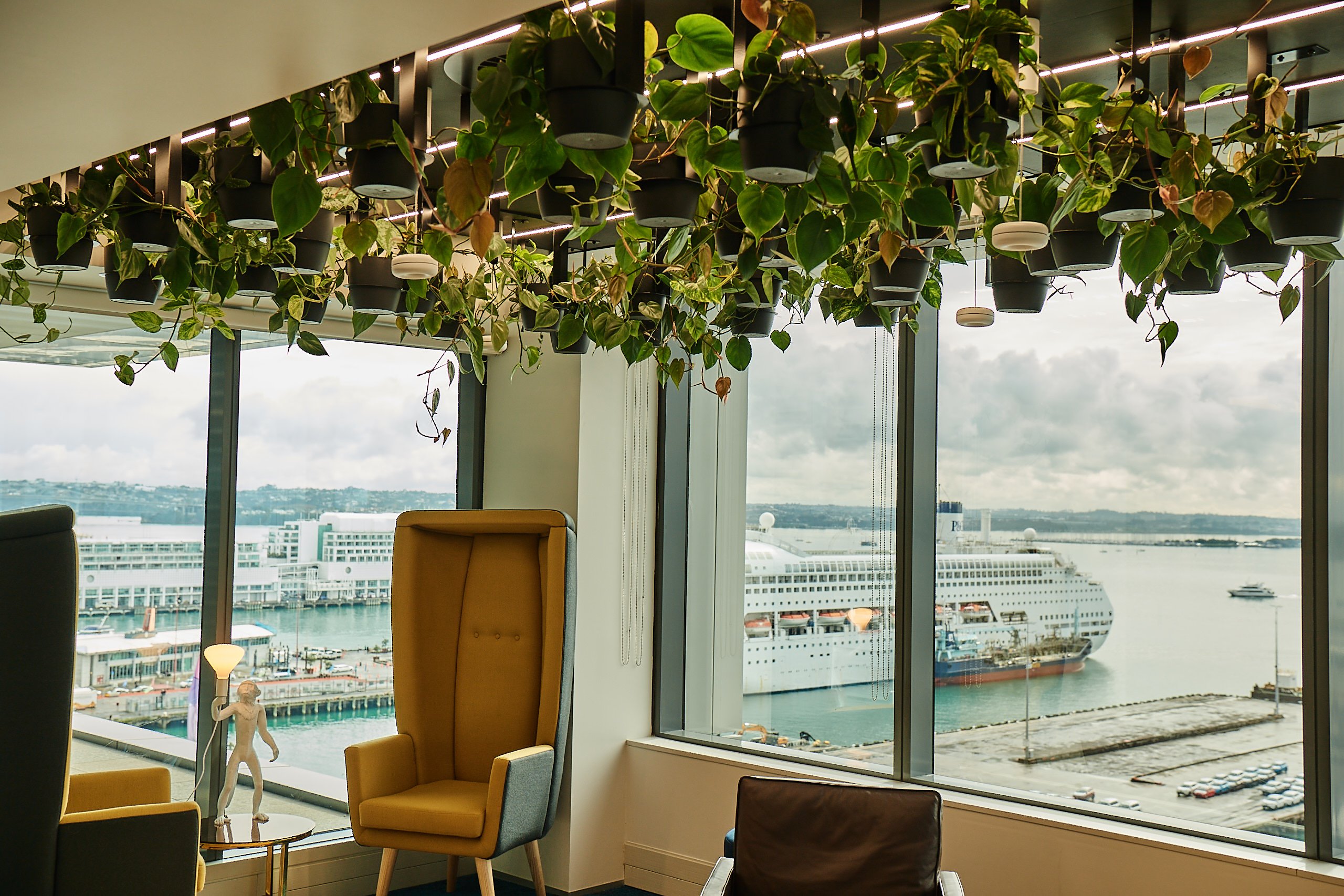 Plants - Fad or Future